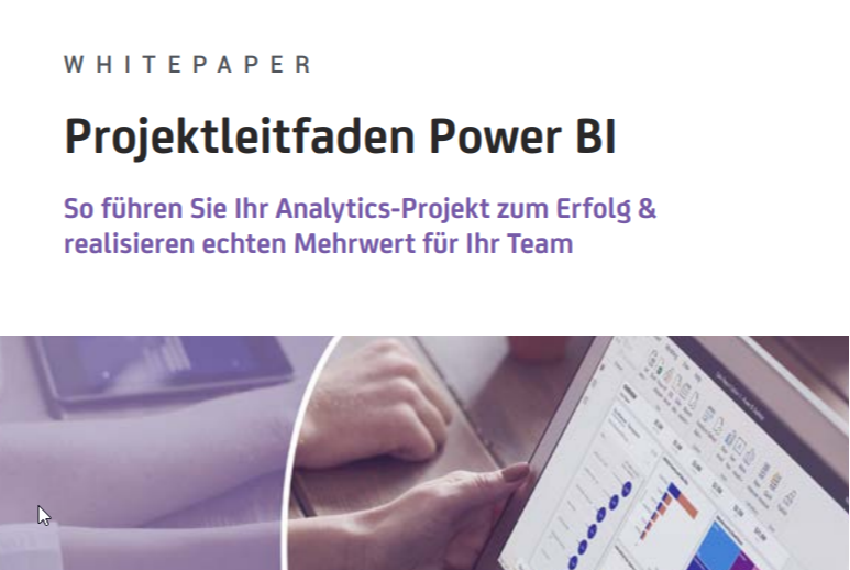 Whitepaper: Projektleitfaden Power BI